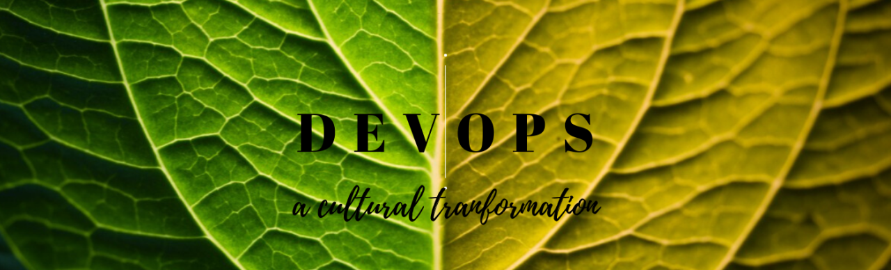 DevOps - A Cultural Transformation DevOps - A Cultural Transformation
