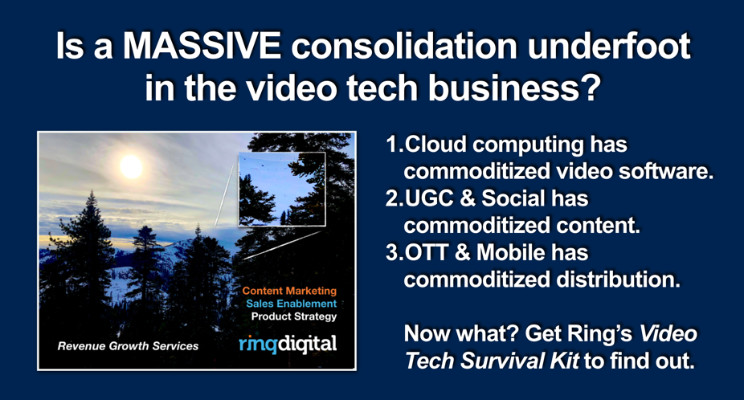 Video Tech Makers: Is a Massive Consolidation Underfoot? Time for action. Video Tech Makers: Is a Massive Consolidation Underfoot? Time for action.