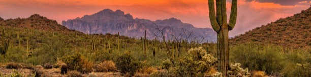 ROBERT F. SONDERS | LinkedIn ROBERT F. SONDERS | LinkedIn
