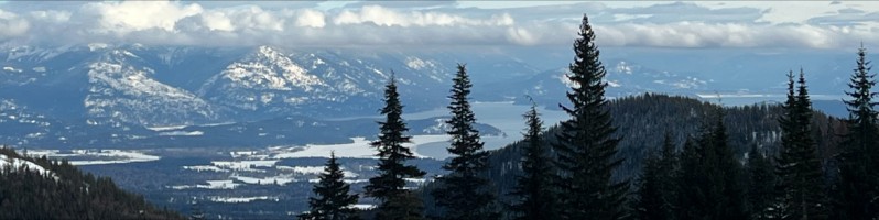 Lois Bollenback - Executive Director - Spokane Regional Transportation ... Lois Bollenback - Executive Director - Spokane Regional Transportation ...