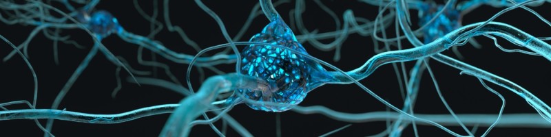 Ramin Sedehi on LinkedIn: Untangling the Human Mind: The Interplay ... Ramin Sedehi on LinkedIn: Untangling the Human Mind: The Interplay ...