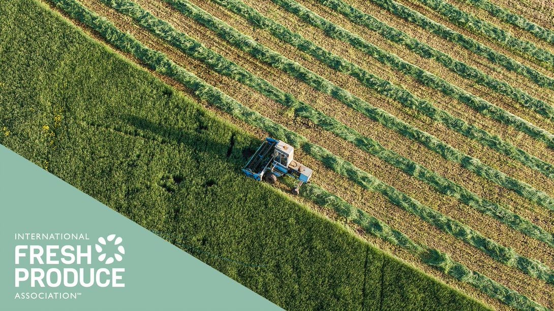International Fresh Produce Association Southern Africa on LinkedIn: # ... International Fresh Produce Association Southern Africa on LinkedIn: # ...