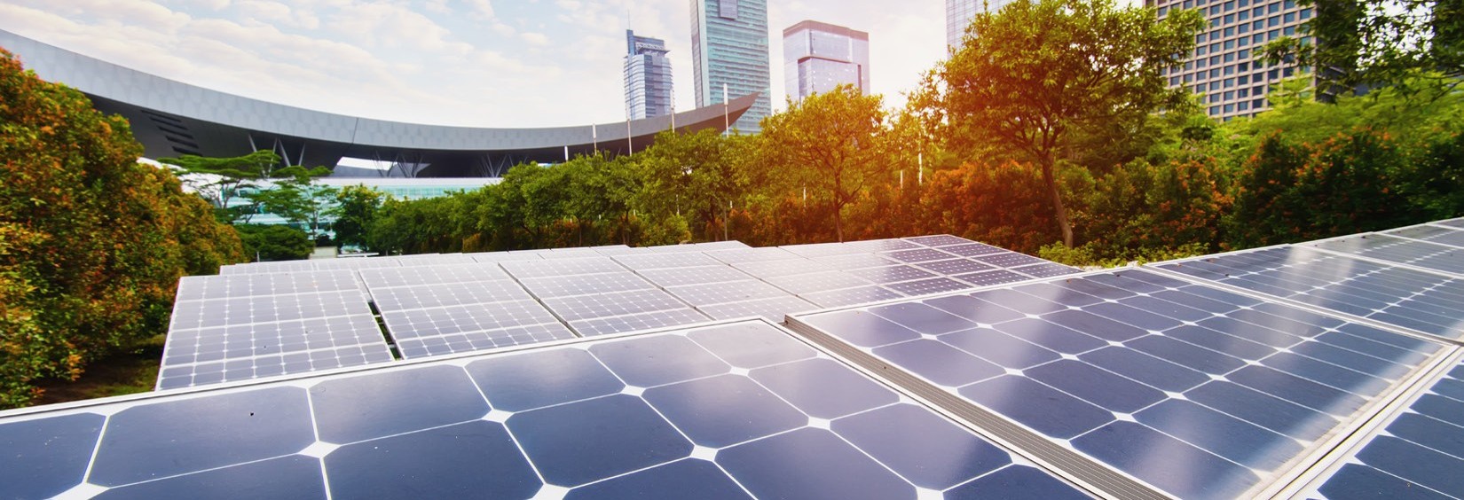 Ecosystem Integrity Fund | LinkedIn Ecosystem Integrity Fund | LinkedIn