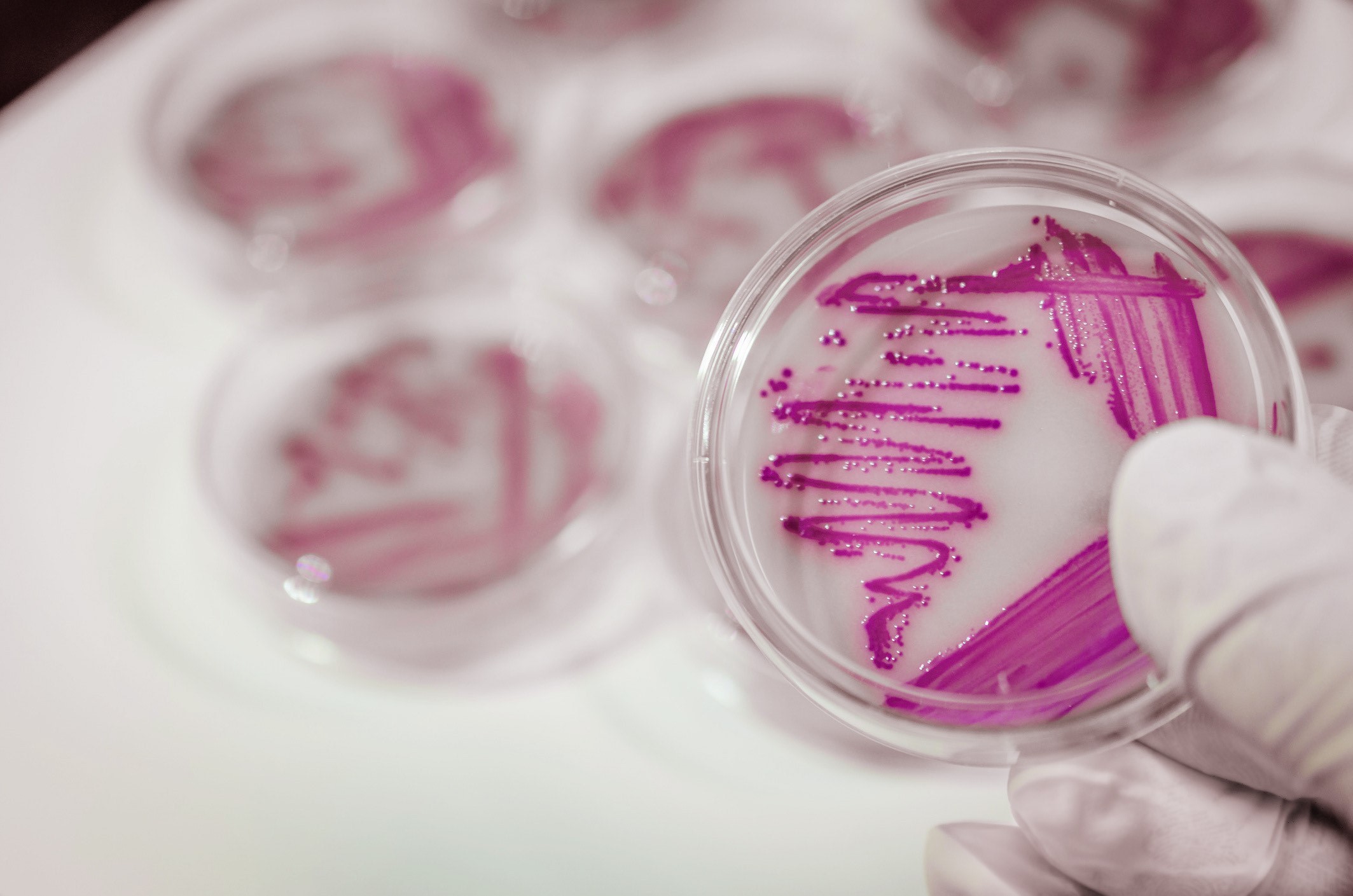 National Collaborating Centre for Infectious Diseases (NCCID) | LinkedIn National Collaborating Centre for Infectious Diseases (NCCID) | LinkedIn