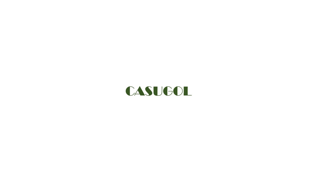 CASUGOL | LinkedIn CASUGOL | LinkedIn