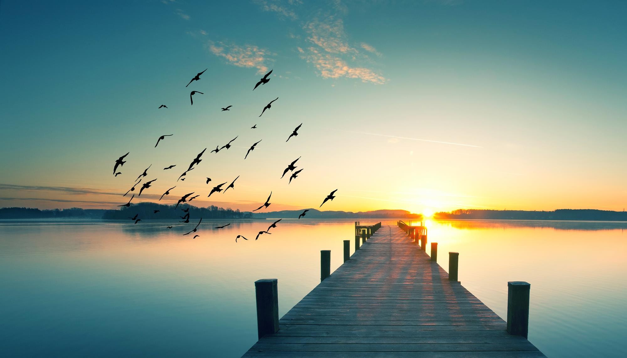 Efficient Board of Executors on LinkedIn: Deceased Estates Efficient Board of Executors on LinkedIn: Deceased Estates