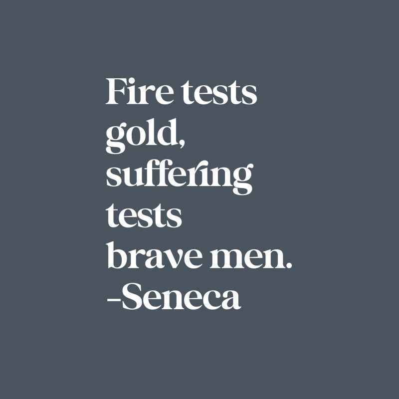 Seth Adam Smith on LinkedIn: #seneca #stoicism Seth Adam Smith on LinkedIn: #seneca #stoicism
