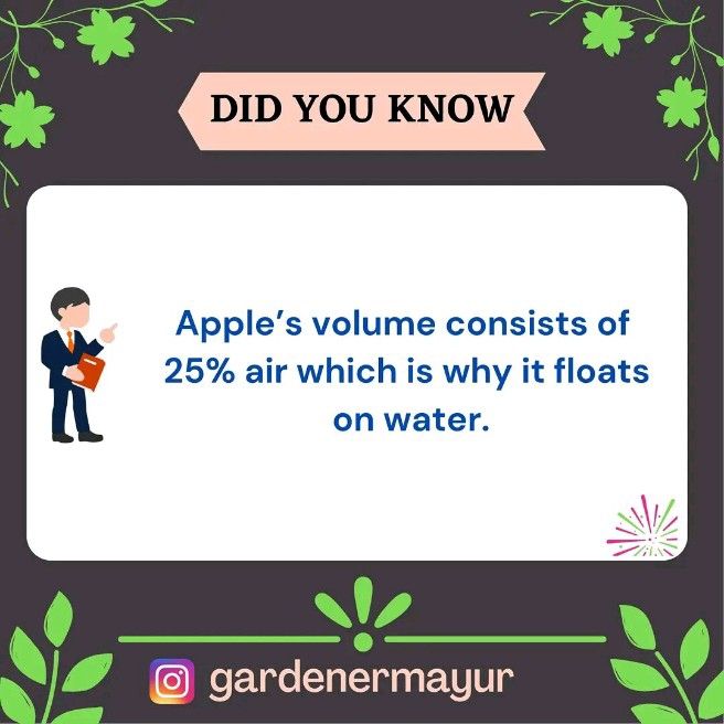 Mayur Salunkhe on LinkedIn: #plants #gardener Mayur Salunkhe on LinkedIn: #plants #gardener