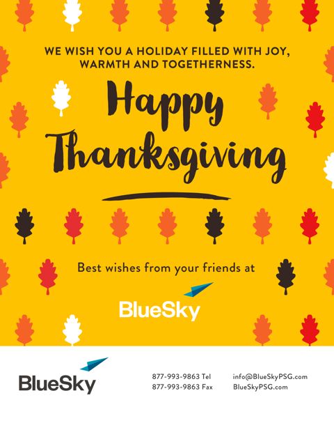 BlueSky Professional Services Group, LLC posted on LinkedIn BlueSky Professional Services Group, LLC posted on LinkedIn