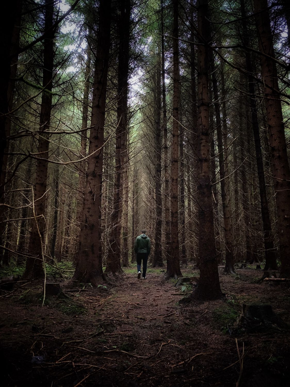 Zach Skiles, PsyD on LinkedIn: This week, fragility & generosity ... Zach Skiles, PsyD on LinkedIn: This week, fragility & generosity ...