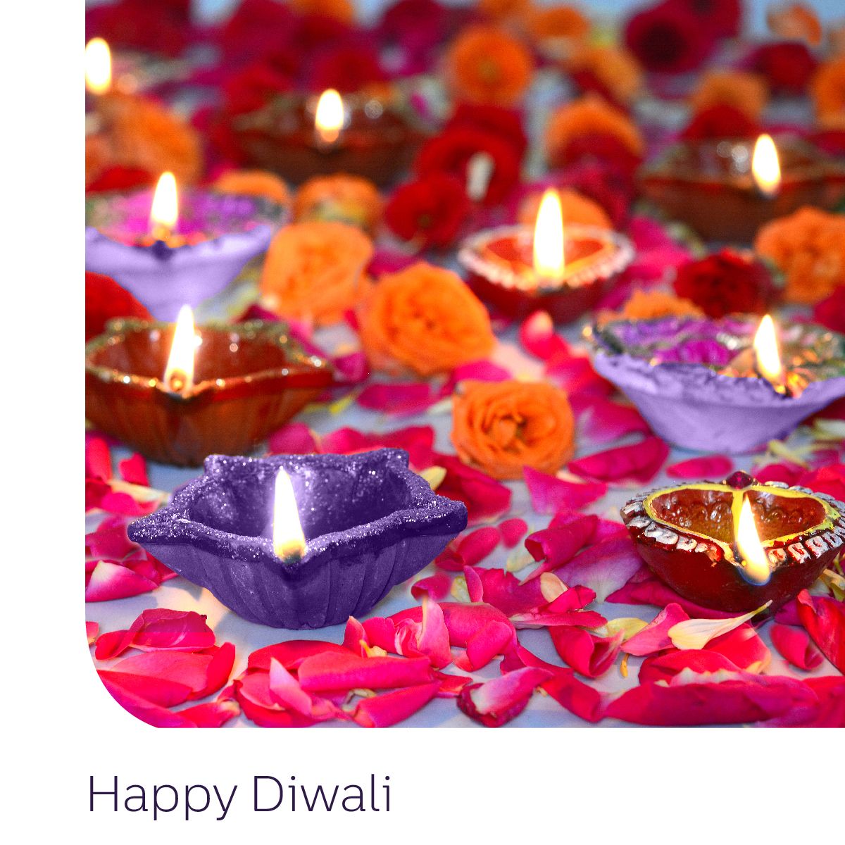 Ankur Vyas, CFA on LinkedIn: Shubh Diwali—Happy Diwali. We hope your ... Ankur Vyas, CFA on LinkedIn: Shubh Diwali—Happy Diwali. We hope your ...