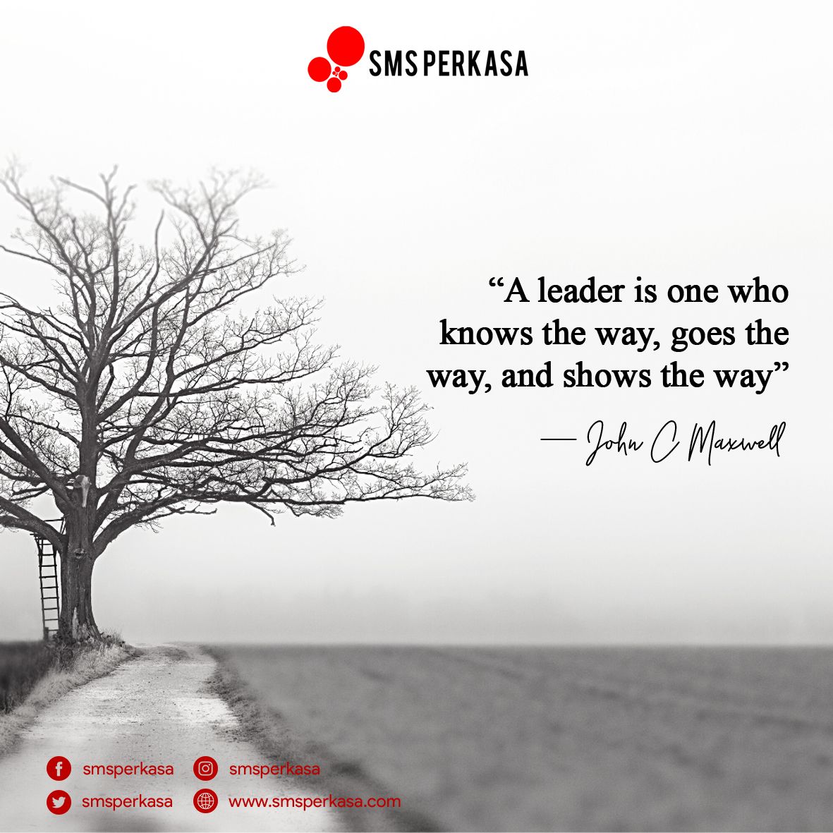 PT. Sumber Makmur Surya Perkasa (SMS Perkasa) on LinkedIn: #trivia # ... PT. Sumber Makmur Surya Perkasa (SMS Perkasa) on LinkedIn: #trivia # ...
