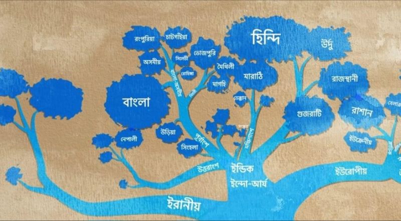 Mohamed Emran Hossain, PhD on LinkedIn: Language Tree Mohamed Emran Hossain, PhD on LinkedIn: Language Tree