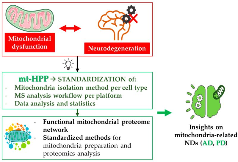 Biomedicines MDPI on LinkedIn: #review #neurodegenerative #biomarkers Biomedicines MDPI on LinkedIn: #review #neurodegenerative #biomarkers