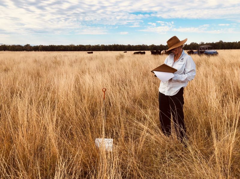 Sara Schmude on LinkedIn: #healthylandscapes #regenerativeagriculture # ... Sara Schmude on LinkedIn: #healthylandscapes #regenerativeagriculture # ...