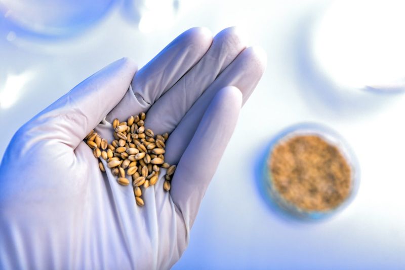 SHARAD KHARE on LinkedIn: #germination #pesticides #colorants #seed # ... SHARAD KHARE on LinkedIn: #germination #pesticides #colorants #seed # ...