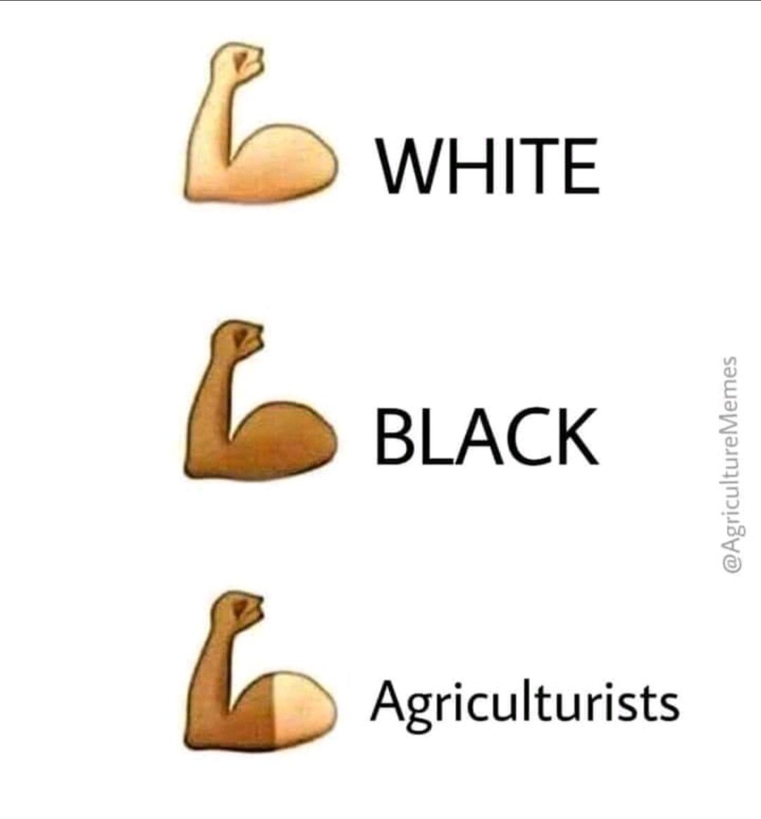 Thamara Darshana Sooriyapperuma on LinkedIn: Pure facts🤣 🏻 Thamara Darshana Sooriyapperuma on LinkedIn: Pure facts🤣 🏻
