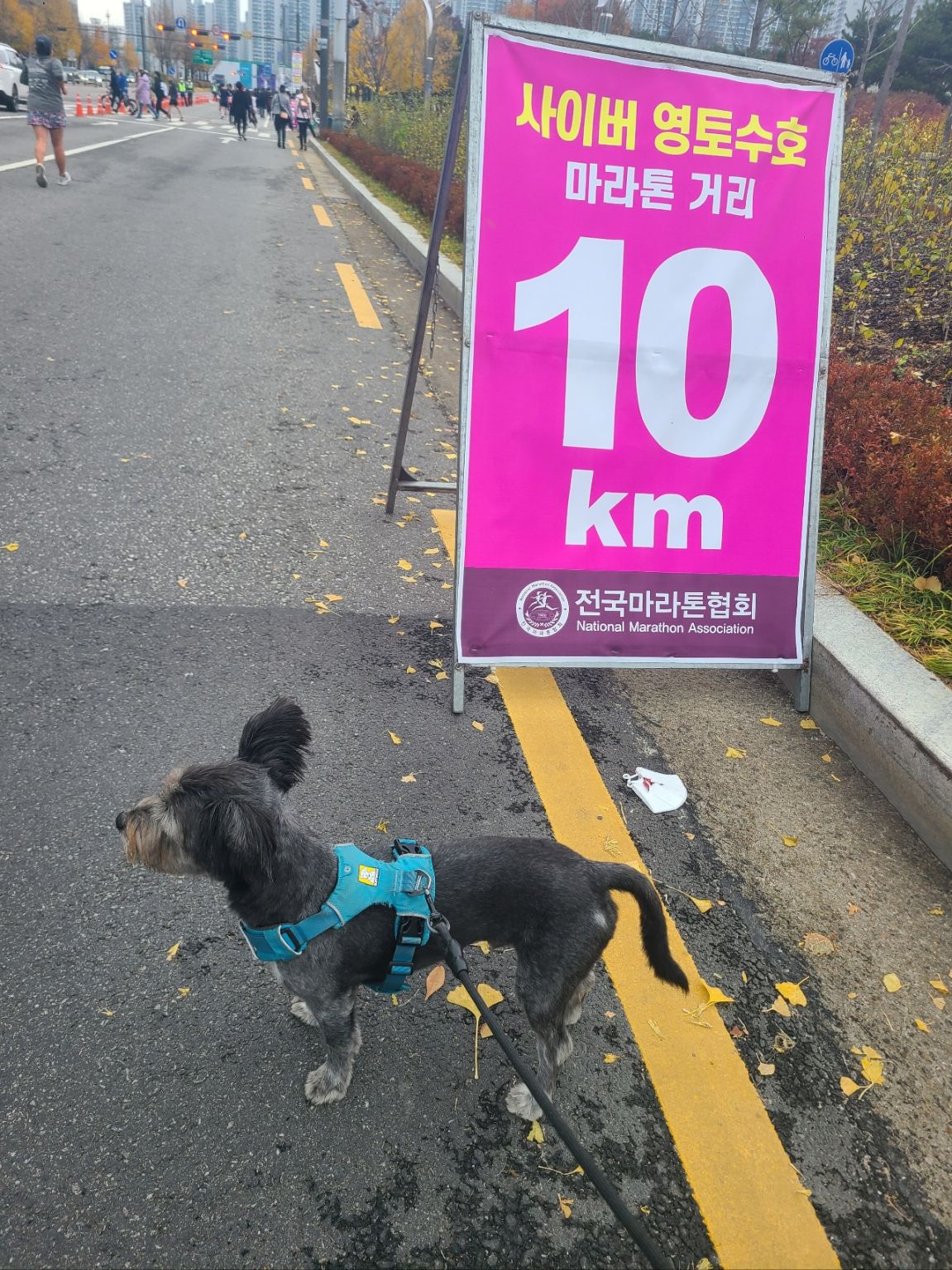 Debra MacLellan on LinkedIn: Participating in the 10KM walk/run to ... Debra MacLellan on LinkedIn: Participating in the 10KM walk/run to ...