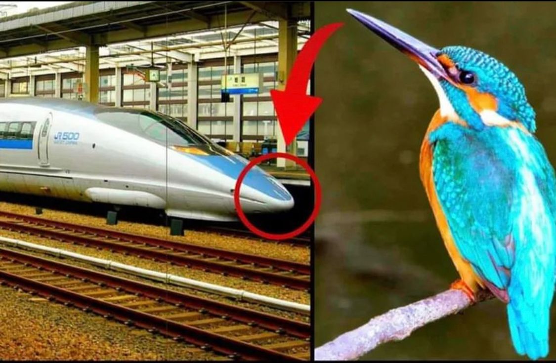 Ismail A. Ismail, MSc, PEng(T). on LinkedIn: #railwayindustry Ismail A. Ismail, MSc, PEng(T). on LinkedIn: #railwayindustry