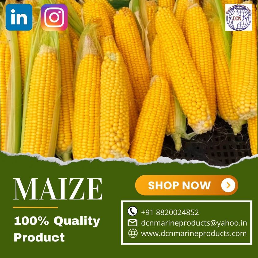 DCN Marine Products Pvt Ltd on LinkedIn: #exporters #export #business # ... DCN Marine Products Pvt Ltd on LinkedIn: #exporters #export #business # ...