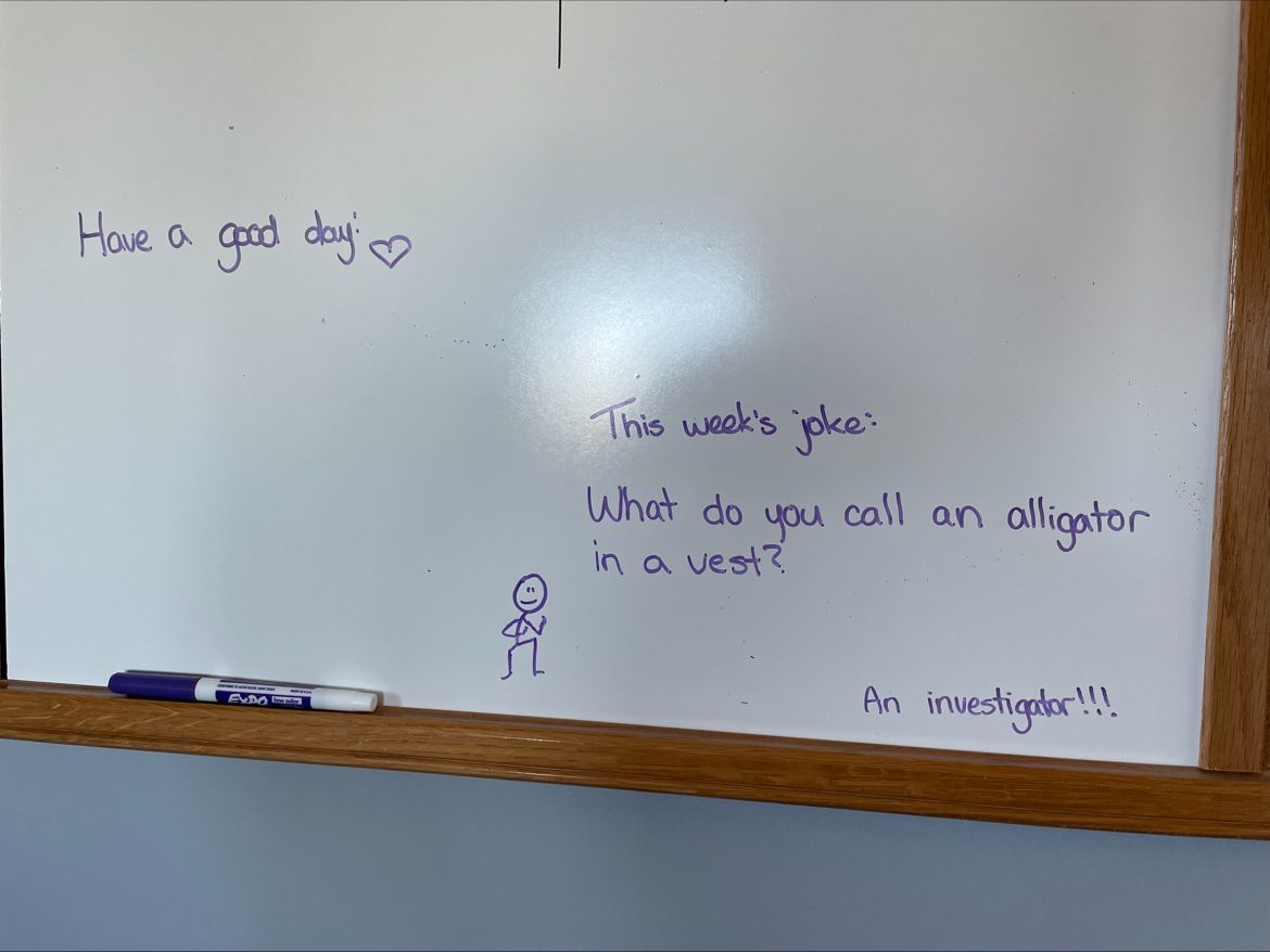 Donna Rycroft on LinkedIn: #jokeoftheweek Donna Rycroft on LinkedIn: #jokeoftheweek