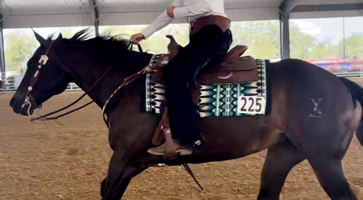 Smigs Stables, LLC. on LinkedIn: #wec #smigsstables #jgph Smigs Stables, LLC. on LinkedIn: #wec #smigsstables #jgph