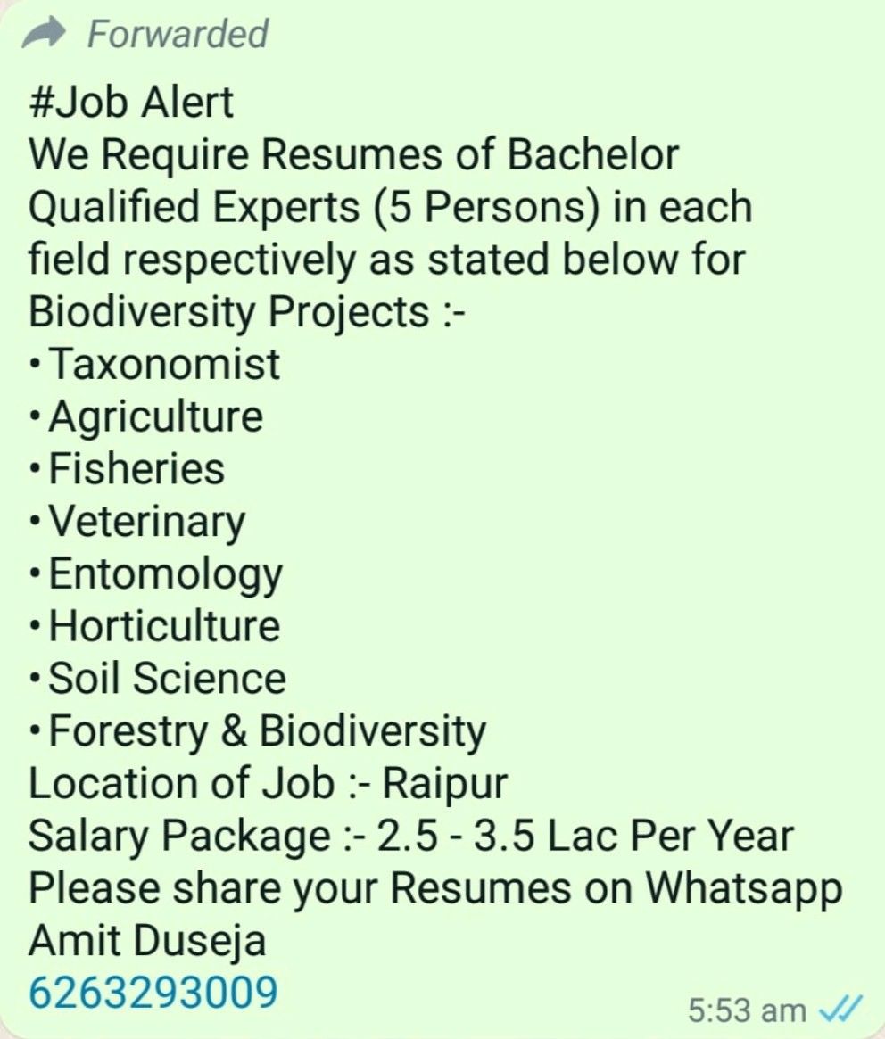 Rajit Kumar on LinkedIn: #agriculture #jobseekers #bsc #entomology # ... Rajit Kumar on LinkedIn: #agriculture #jobseekers #bsc #entomology # ...