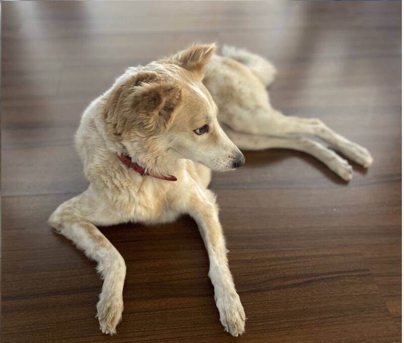 Zerodha on LinkedIn: Meet Zero, the second most important person in ... Zerodha on LinkedIn: Meet Zero, the second most important person in ...