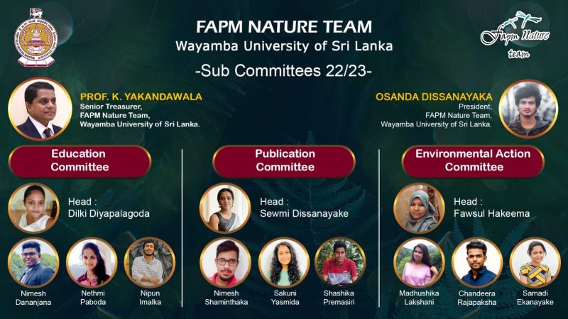 Sewmi Dissanayake posted on LinkedIn Sewmi Dissanayake posted on LinkedIn