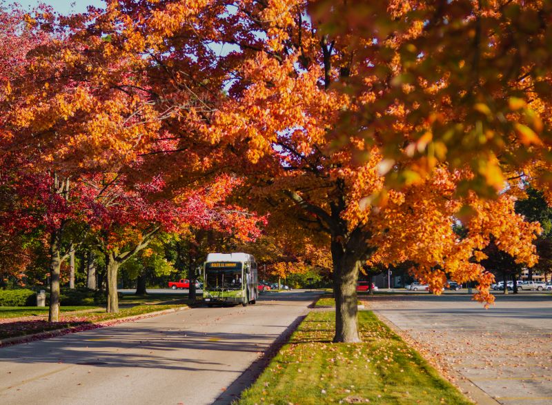 Muskegon Community College on LinkedIn: #muskegoncc Muskegon Community College on LinkedIn: #muskegoncc