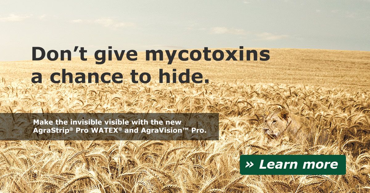 Lisa Ruiz on LinkedIn: AgraStrip® Pro WATEX® | Fast, simple mycotoxin ... Lisa Ruiz on LinkedIn: AgraStrip® Pro WATEX® | Fast, simple mycotoxin ...