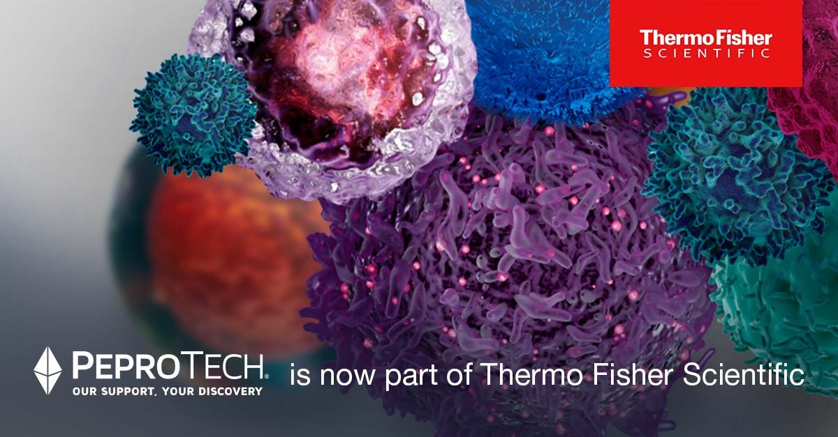 Thermo Fisher Scientific on LinkedIn: Thermo Fisher Scientific ... Thermo Fisher Scientific on LinkedIn: Thermo Fisher Scientific ...
