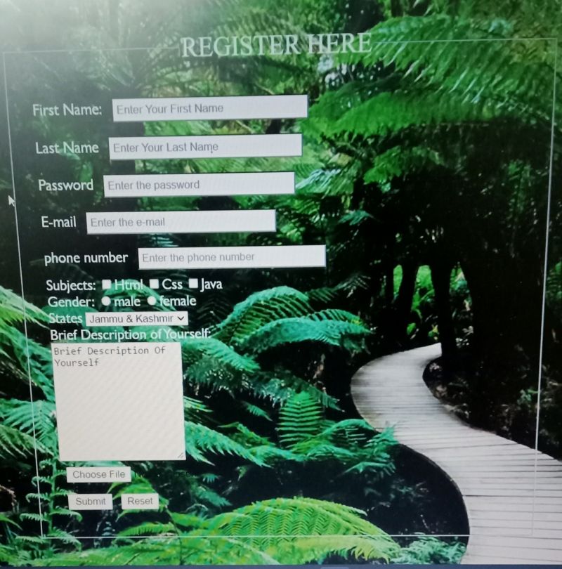 Arunima Hajra on LinkedIn: Tried making login page using html css basic Arunima Hajra on LinkedIn: Tried making login page using html css basic