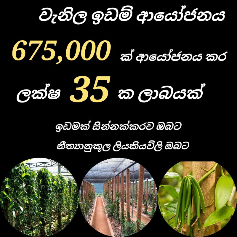 Thushara Sampath posted on LinkedIn Thushara Sampath posted on LinkedIn