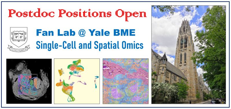 Rong Fan on LinkedIn: #spatialomics #spatialbiology #singlecell # ... Rong Fan on LinkedIn: #spatialomics #spatialbiology #singlecell # ...