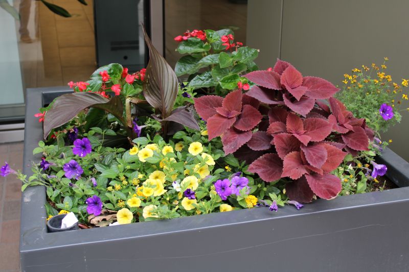 John Reffel III, LEED-AP, CSP posted on LinkedIn John Reffel III, LEED-AP, CSP posted on LinkedIn