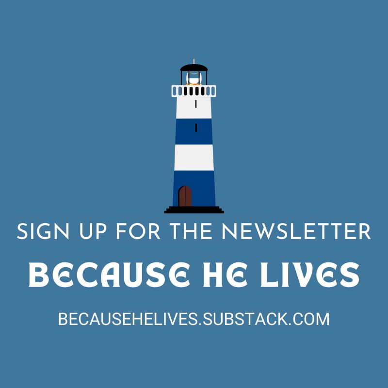 Laura Glassel on LinkedIn: I’ve recently shifted my monthly newsletter ... Laura Glassel on LinkedIn: I’ve recently shifted my monthly newsletter ...