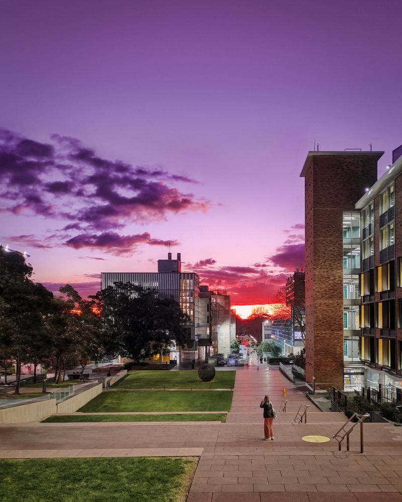 UNSW on LinkedIn: An iconic UNSW sunset if we've ever seen one. 👏 | 33 ... UNSW on LinkedIn: An iconic UNSW sunset if we've ever seen one. 👏 | 33 ...