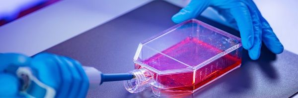 AAT Bioquest on LinkedIn: Cell Proliferation Assays AAT Bioquest on LinkedIn: Cell Proliferation Assays