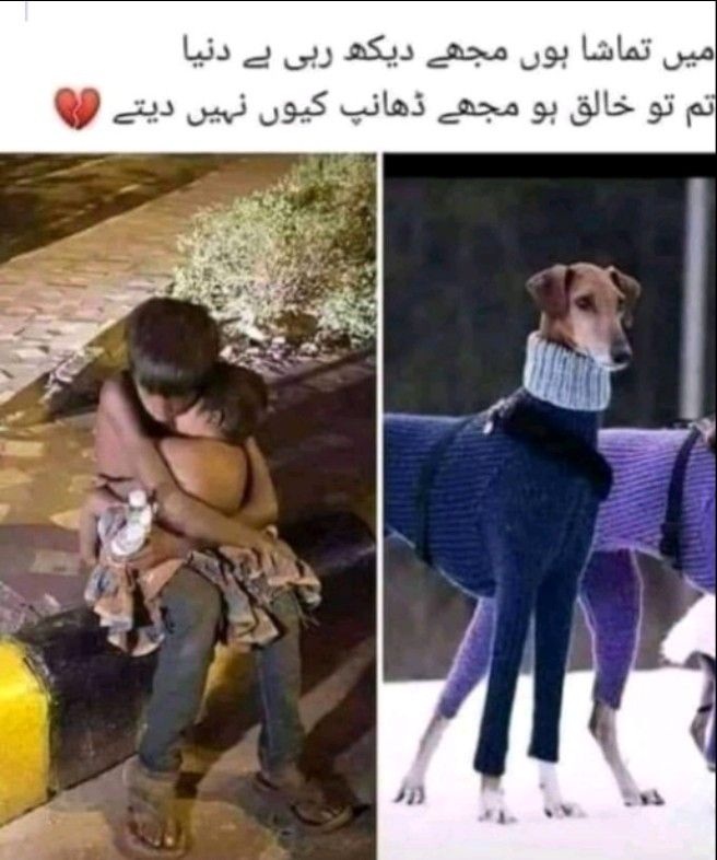 Sajjad Ahmed Jarral posted on LinkedIn Sajjad Ahmed Jarral posted on LinkedIn