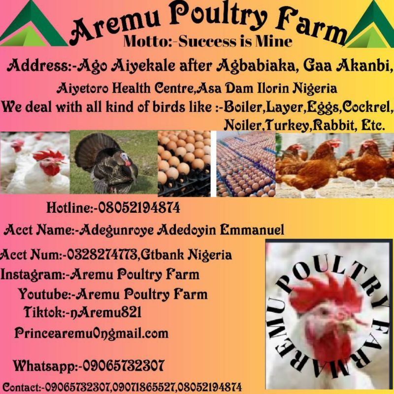 Prince Adedoyin posted on LinkedIn Prince Adedoyin posted on LinkedIn