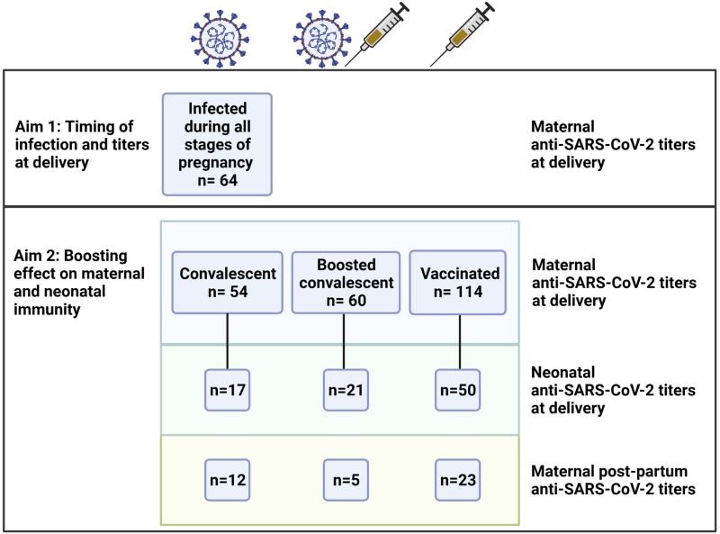 Christopher Robinson on LinkedIn: Boosting maternal and neonatal ... Christopher Robinson on LinkedIn: Boosting maternal and neonatal ...