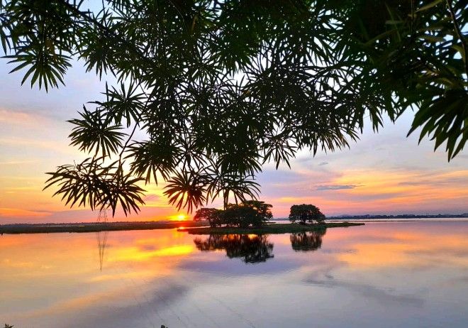 Devanga Pallav Saikia on LinkedIn: #assam Devanga Pallav Saikia on LinkedIn: #assam