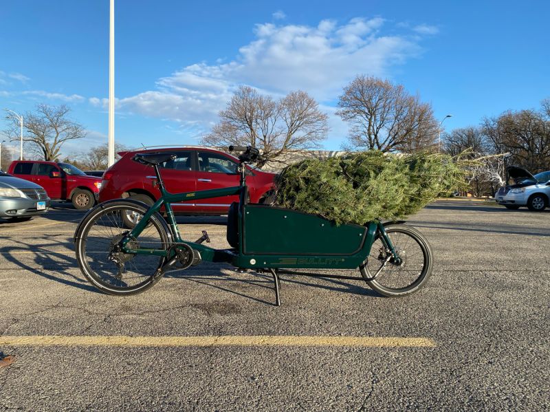 Michael Smith, AICP Candidate on LinkedIn: #treebybike Michael Smith, AICP Candidate on LinkedIn: #treebybike