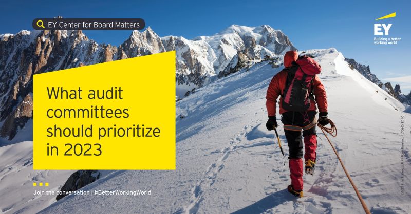 Karim Abiali CPA (DE), CA, CIA on LinkedIn: #audit #esg #eycanada # ... Karim Abiali CPA (DE), CA, CIA on LinkedIn: #audit #esg #eycanada # ...