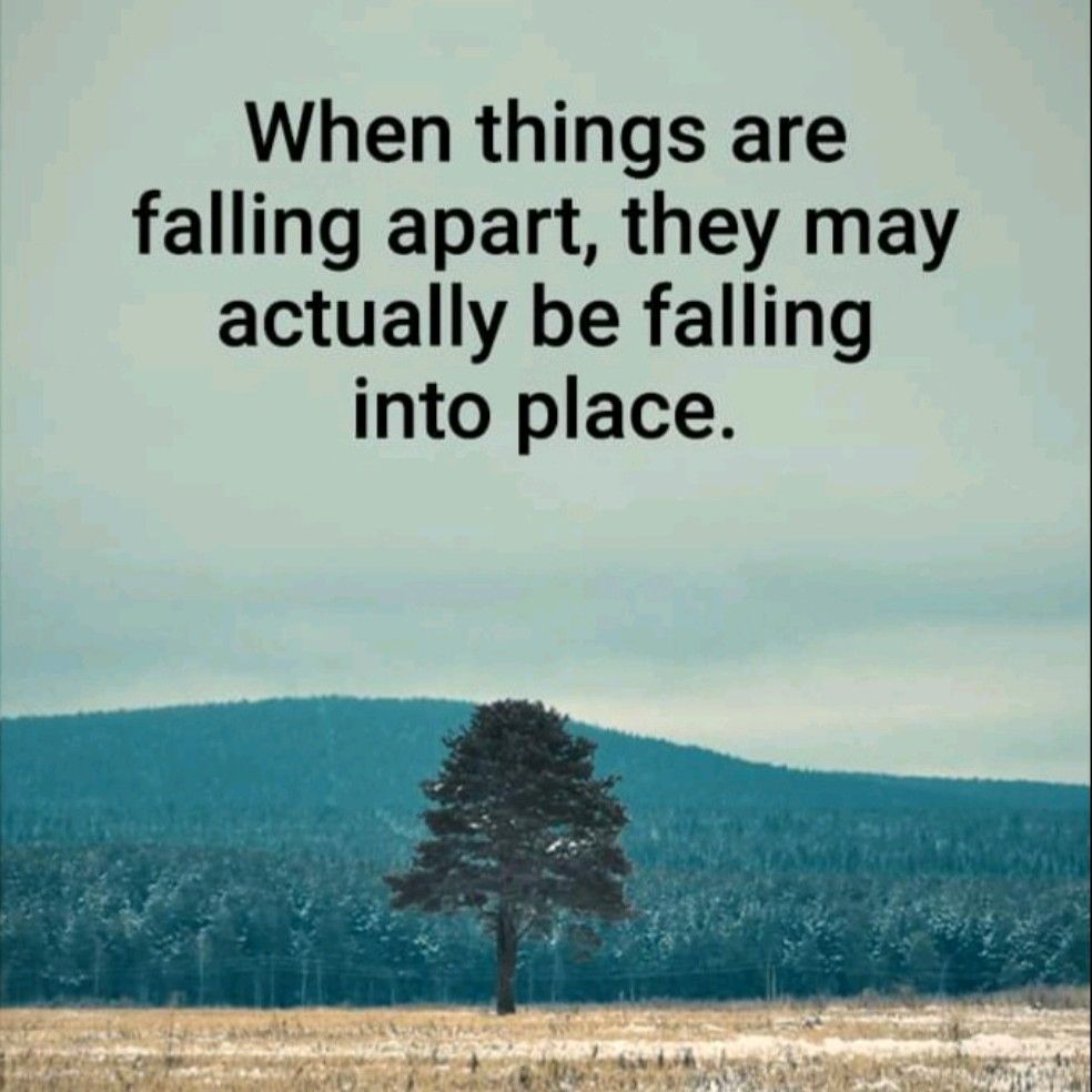 Lassie Zia on LinkedIn: When things are falling apart, they may ... Lassie Zia on LinkedIn: When things are falling apart, they may ...