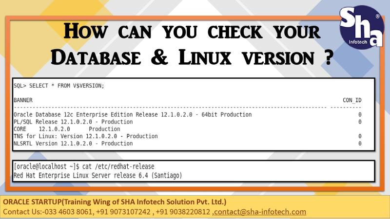 SHA Data University (Training wing of SHA Infotech Solution Pvt. Ltd ... SHA Data University (Training wing of SHA Infotech Solution Pvt. Ltd ...
