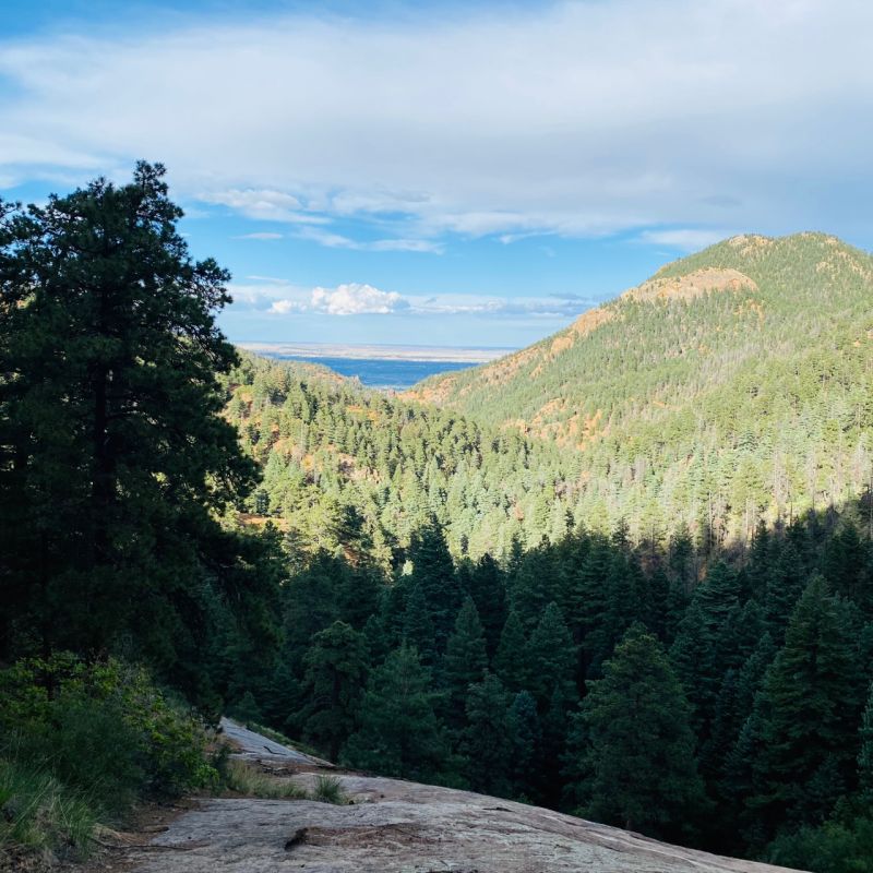 Shane Carvella. DSL on LinkedIn: Good morning from Colorado Springs!! Shane Carvella. DSL on LinkedIn: Good morning from Colorado Springs!!