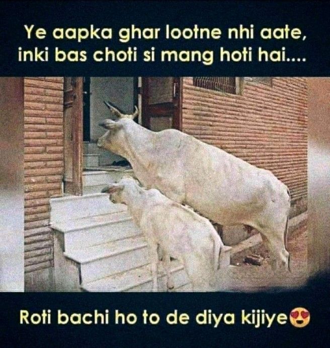 Manoj Singh Rajpoot on LinkedIn: 🙏🙏 Manoj Singh Rajpoot on LinkedIn: 🙏🙏