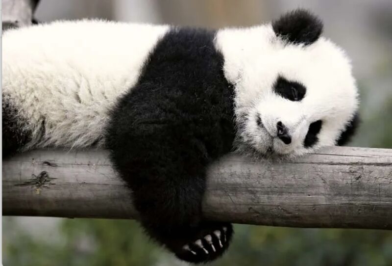 Deepak K on LinkedIn: #data #analytics #pandas #python Deepak K on LinkedIn: #data #analytics #pandas #python